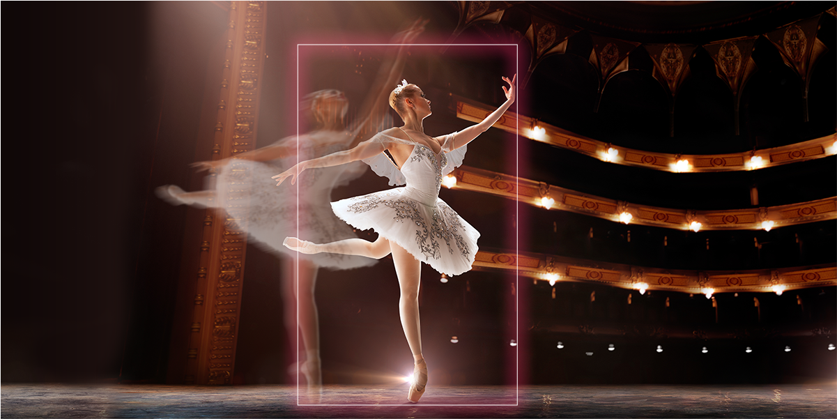 Auto Tracking Cameras | AVer Global