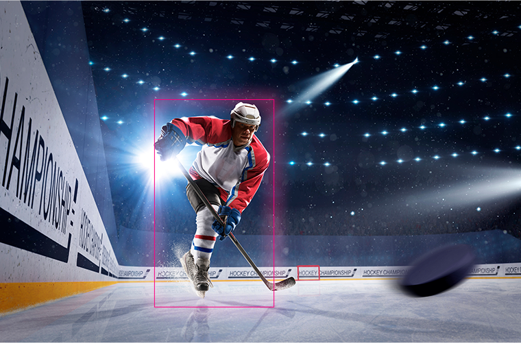 Auto Tracking Cameras | AVer Global