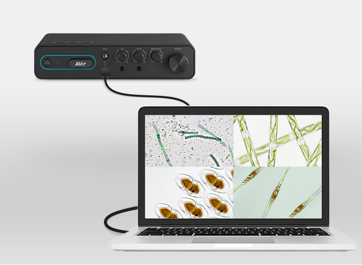 AVer AmpliWave - Streaming Audio System | AVer Global