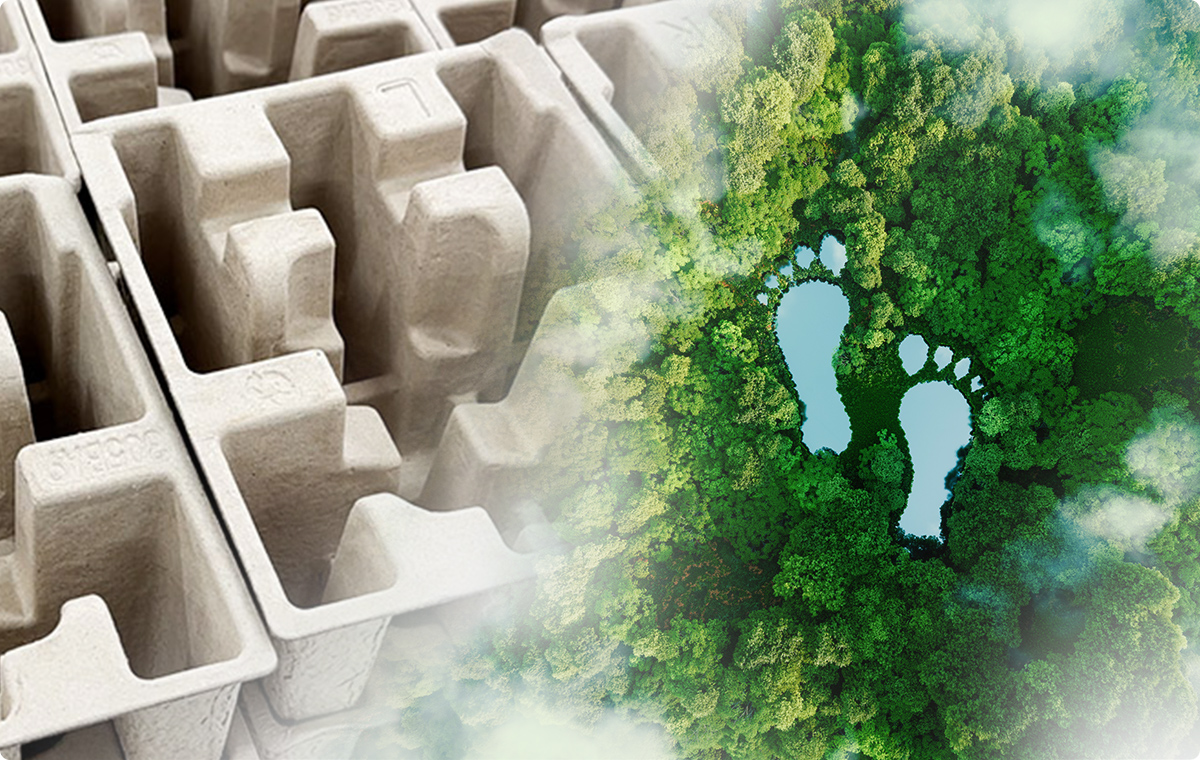 AVer MT300 - Matrix Tracking Box | AVer Global