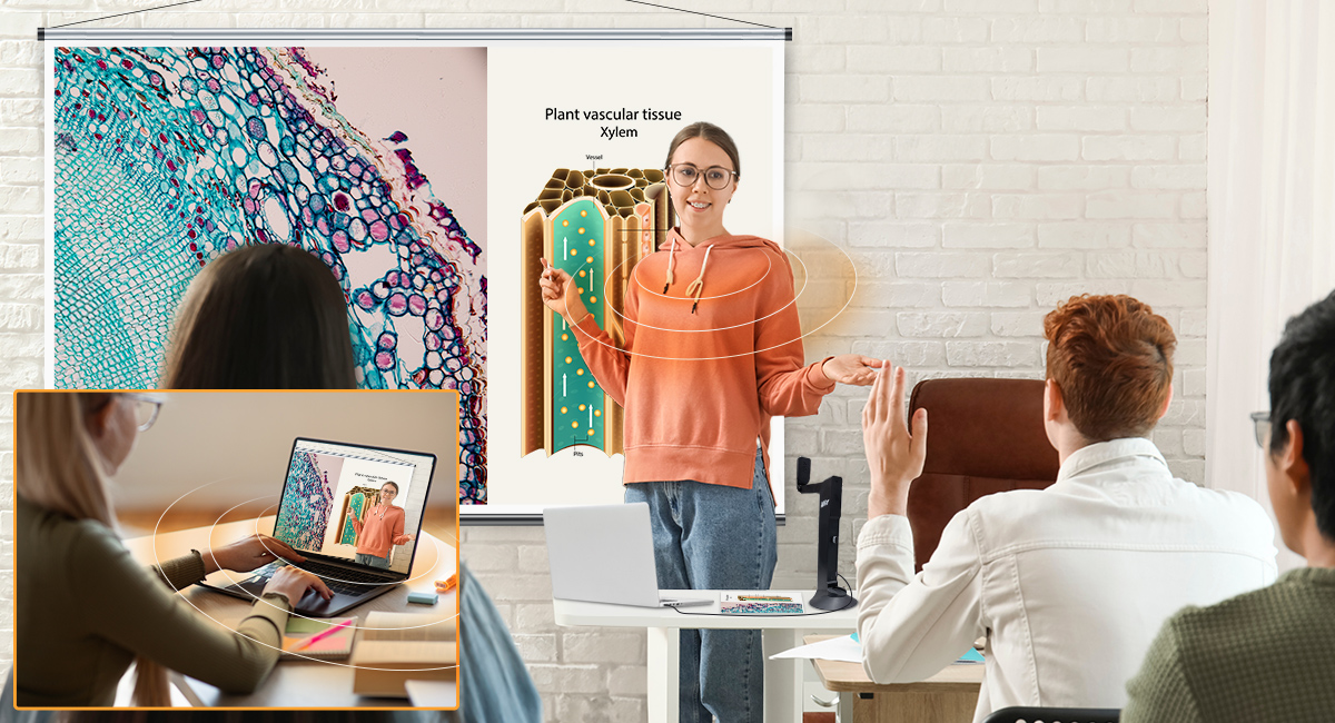 AVerVision M11WB - Mechanical Arm Wireless Visualiser | AVer Europe